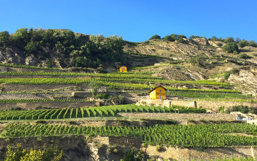 Welcome to Living in Sion - Living in Sion